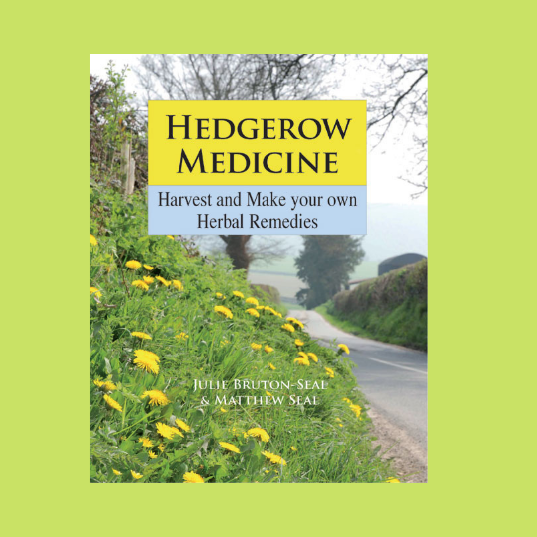 Rosehip Syrup - Hedgerow Medicines to boost wellness this autumn ...