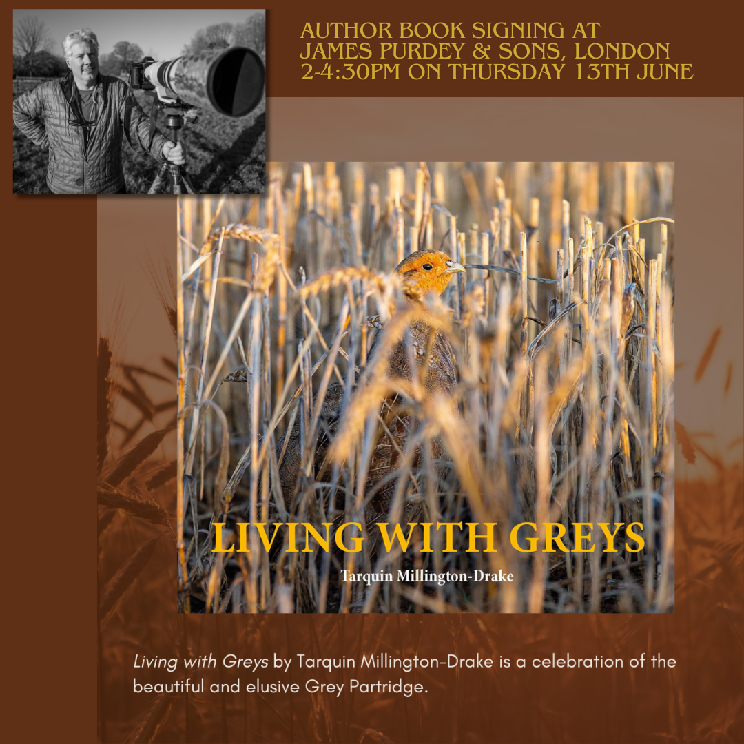 Author book signing at Purdey & Sons, London: Living with Greys, a cel ...