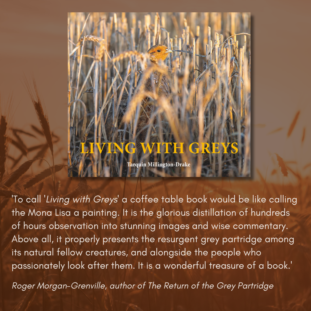 A review for Living with Greys by Roger Morgan-Grenville – merlinunwin